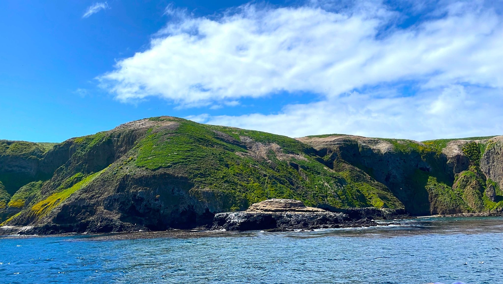 California Anacapa Island Day Trip Guide - Channel Island National Park ...